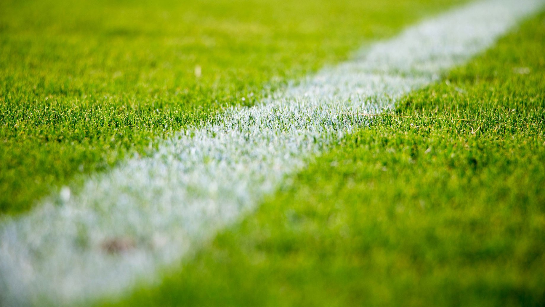 Everything you need to know about a potential turf ban in Santa Clara ...